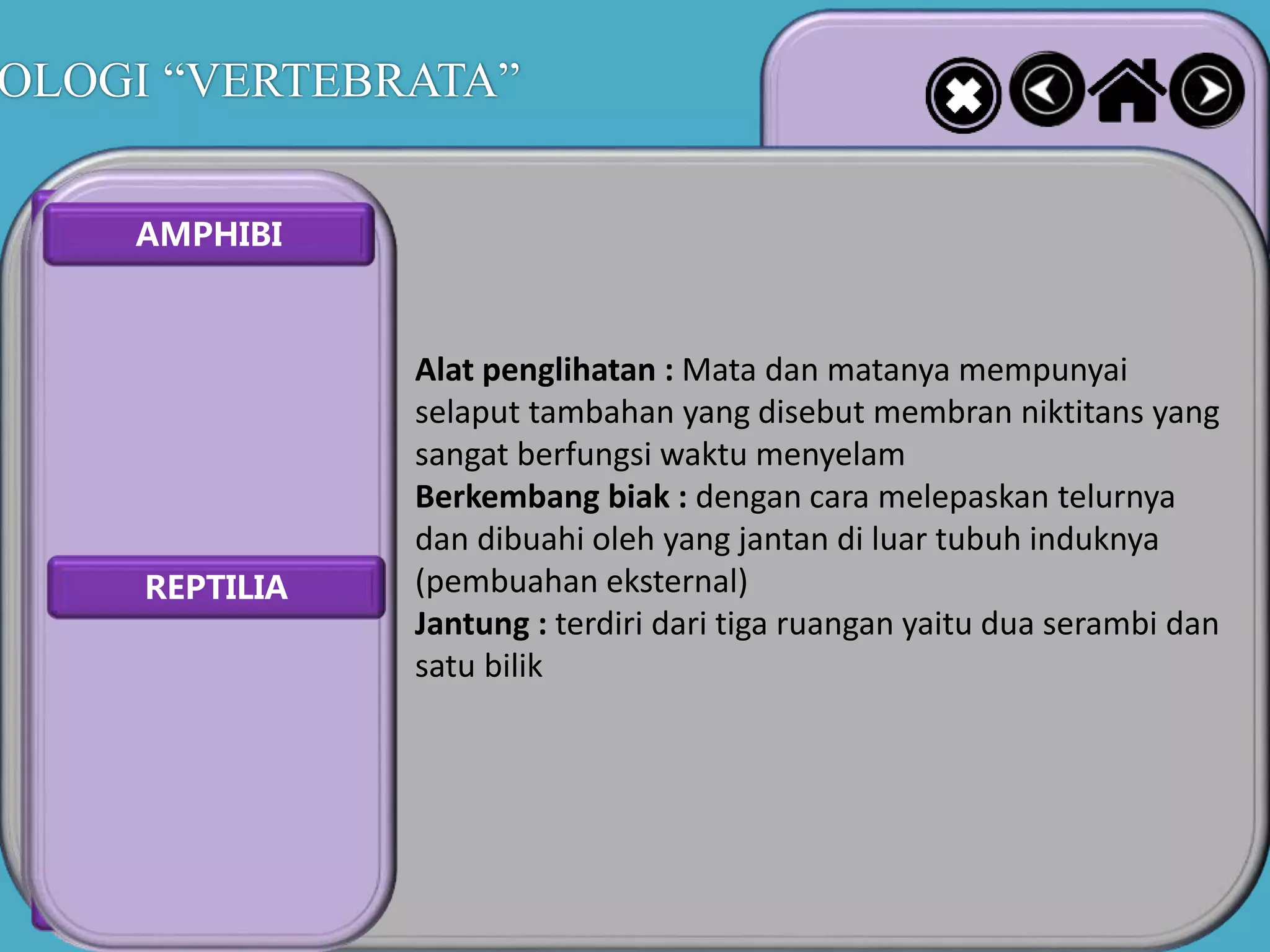 Amphibi dan Reptilia | PPTX