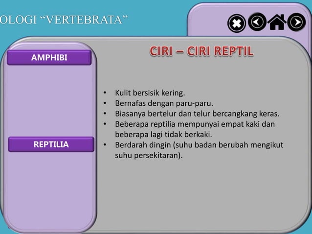 Amphibi dan Reptilia | PPT
