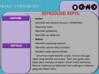 Amphibi dan Reptilia | PPTX