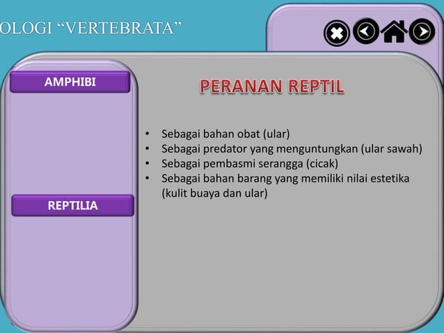 Amphibi dan Reptilia | PPT