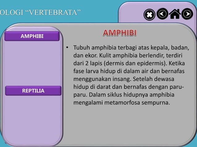 Amphibi dan Reptilia | PPT