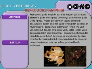 Amphibi dan Reptilia | PPTX