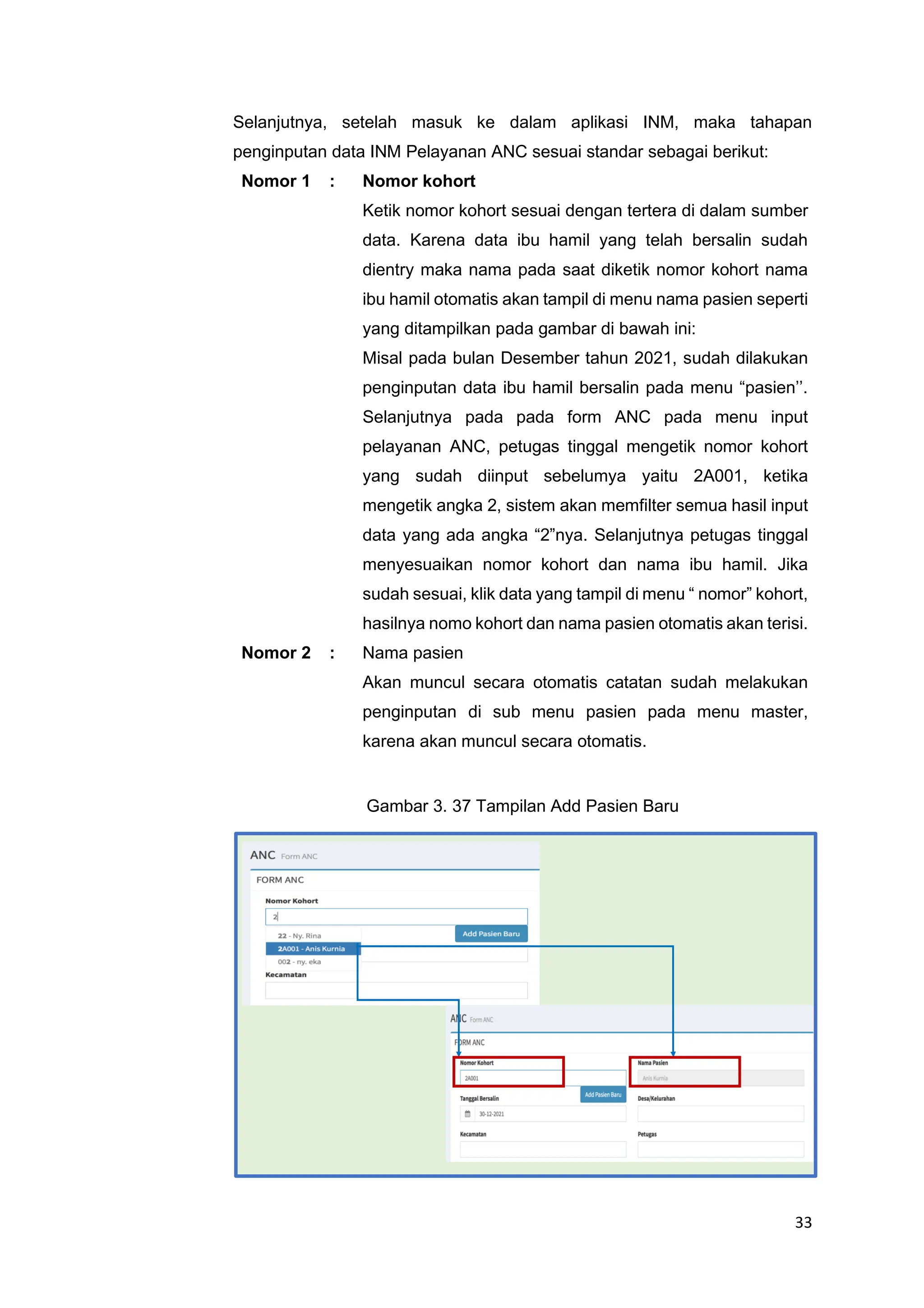 Petunjuk teknis Aplikasi Indikator Nasional Mutu FKTP | PDF