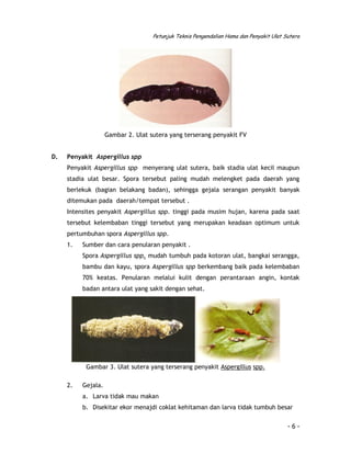 Juknis penyakit ulat new | PDF