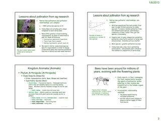Bee Garden - Notes | PDF | Beekeeping | Hobbies & Interests