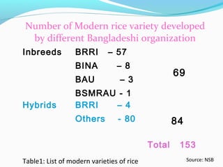 Modern Rice Varities in Bangladesh | PPT | Agriculture | Industries