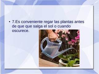 Regar las plantas | PDF