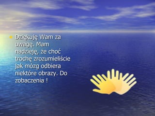 Julia froese iluzje optyczne | PPT
