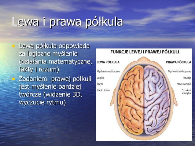 Julia froese iluzje optyczne | PPT
