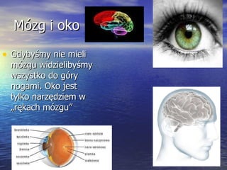 Julia froese iluzje optyczne | PPT