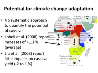 Julian R - Is cassava the answer to African climate change adaptation ...