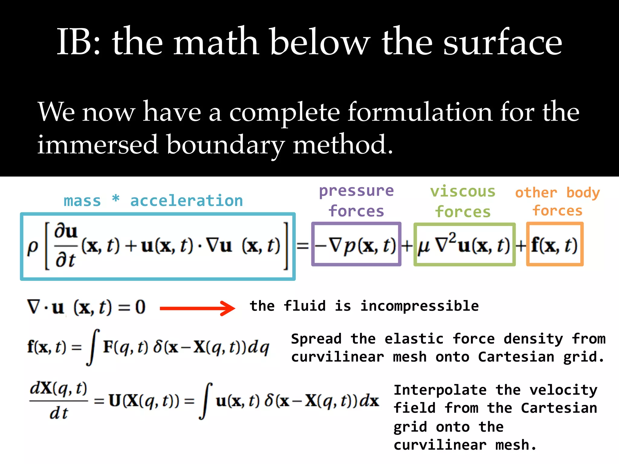 The immersed boundary method, from 2D fibres to 3D finite elements | PDF