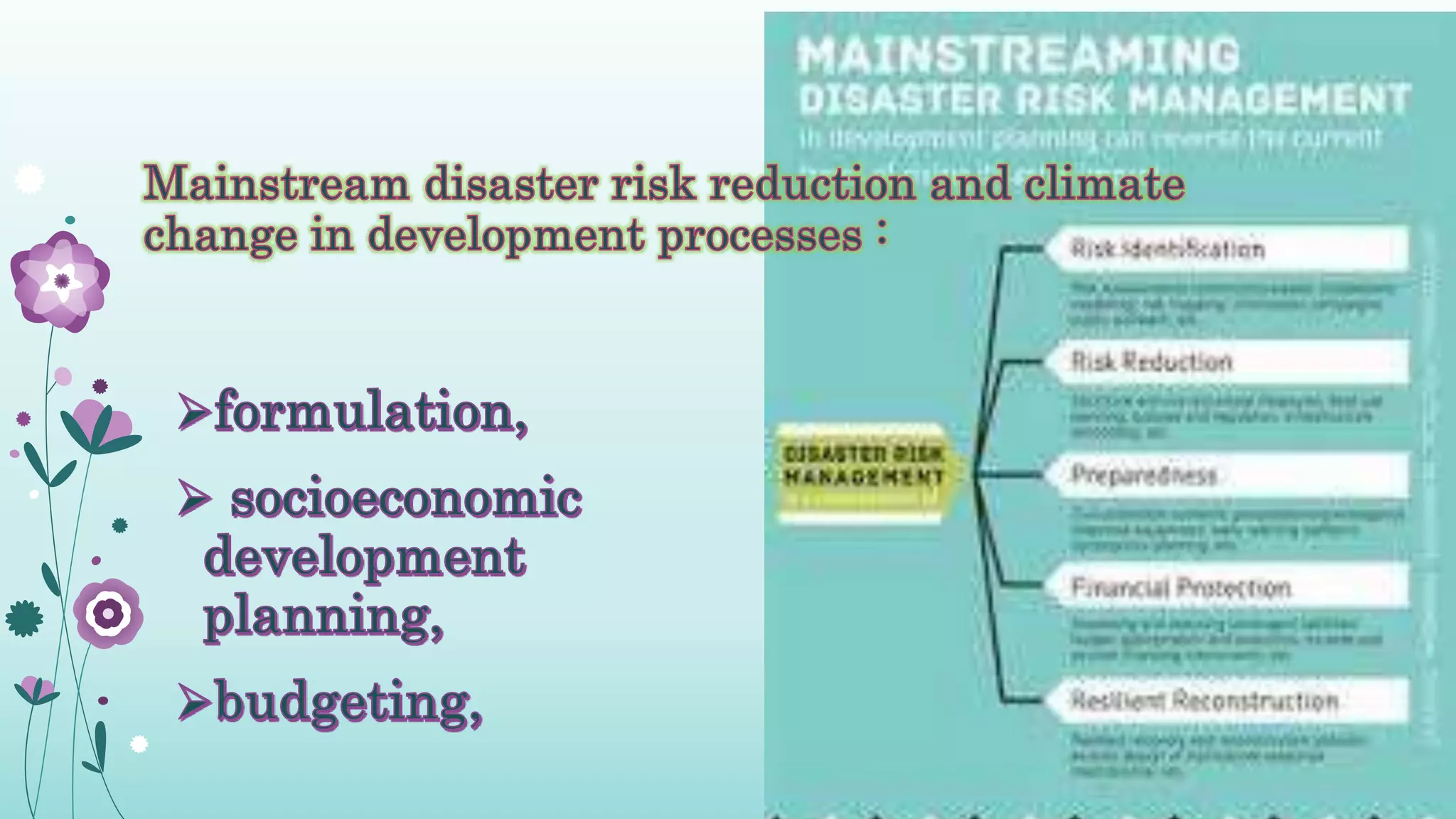 Disaster Risk Reduction | PPT