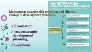 Disaster Risk Reduction | PPT