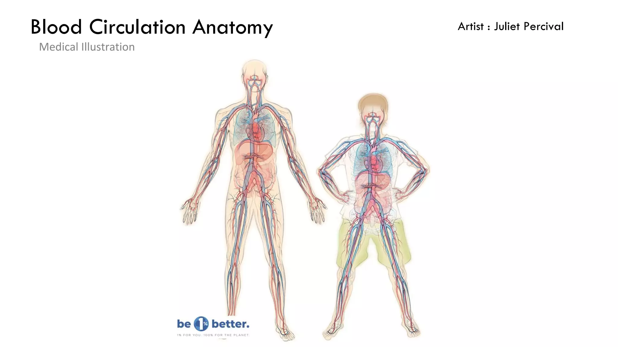 Juliet percival medical & scientific illustrator, uk | PPT