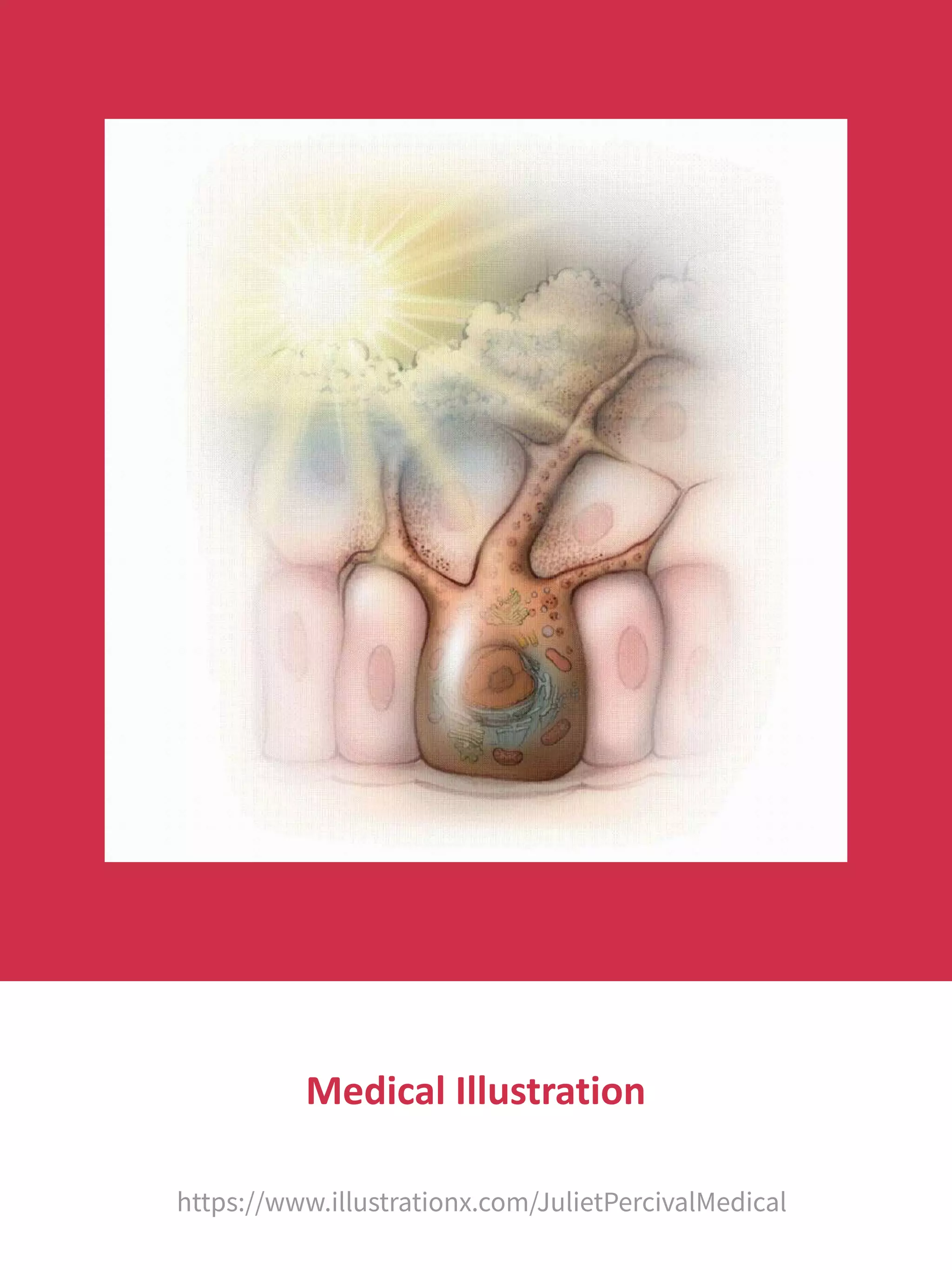 Juliet Percival Medical - Medical & Scientific Illustrator, UK.pdf