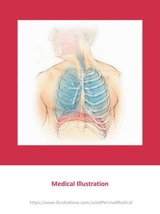 Juliet Percival Medical - Medical & Scientific Illustrator, UK.pdf