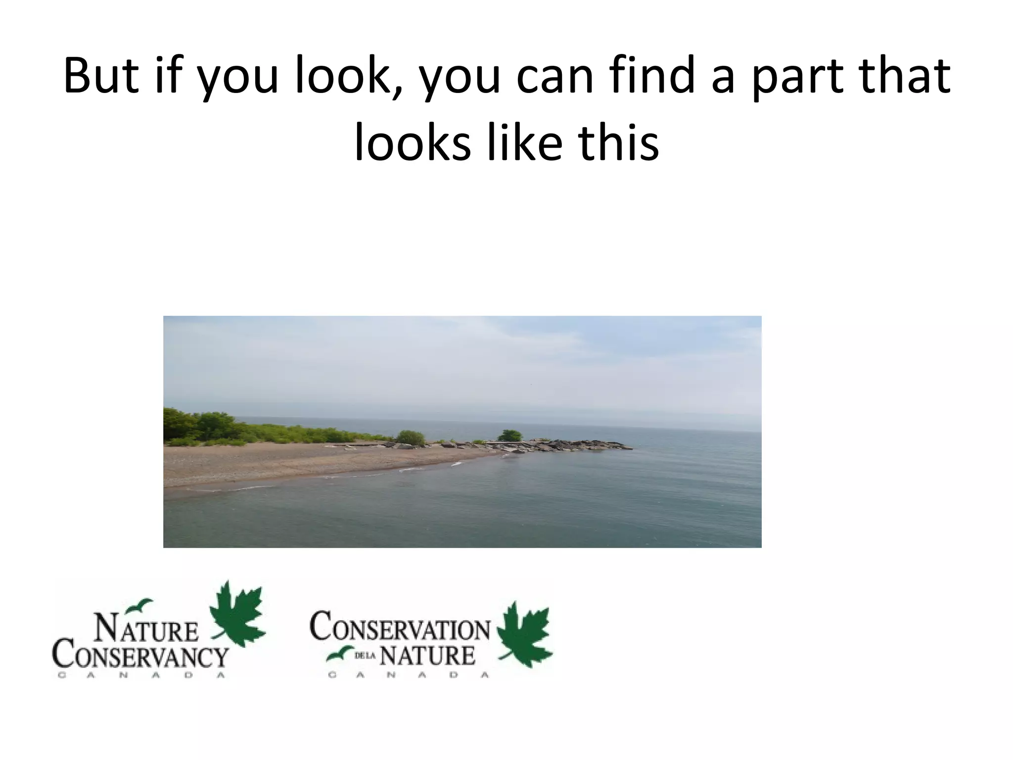 Now you see it...... now you don't (Julie Wood) | PPT