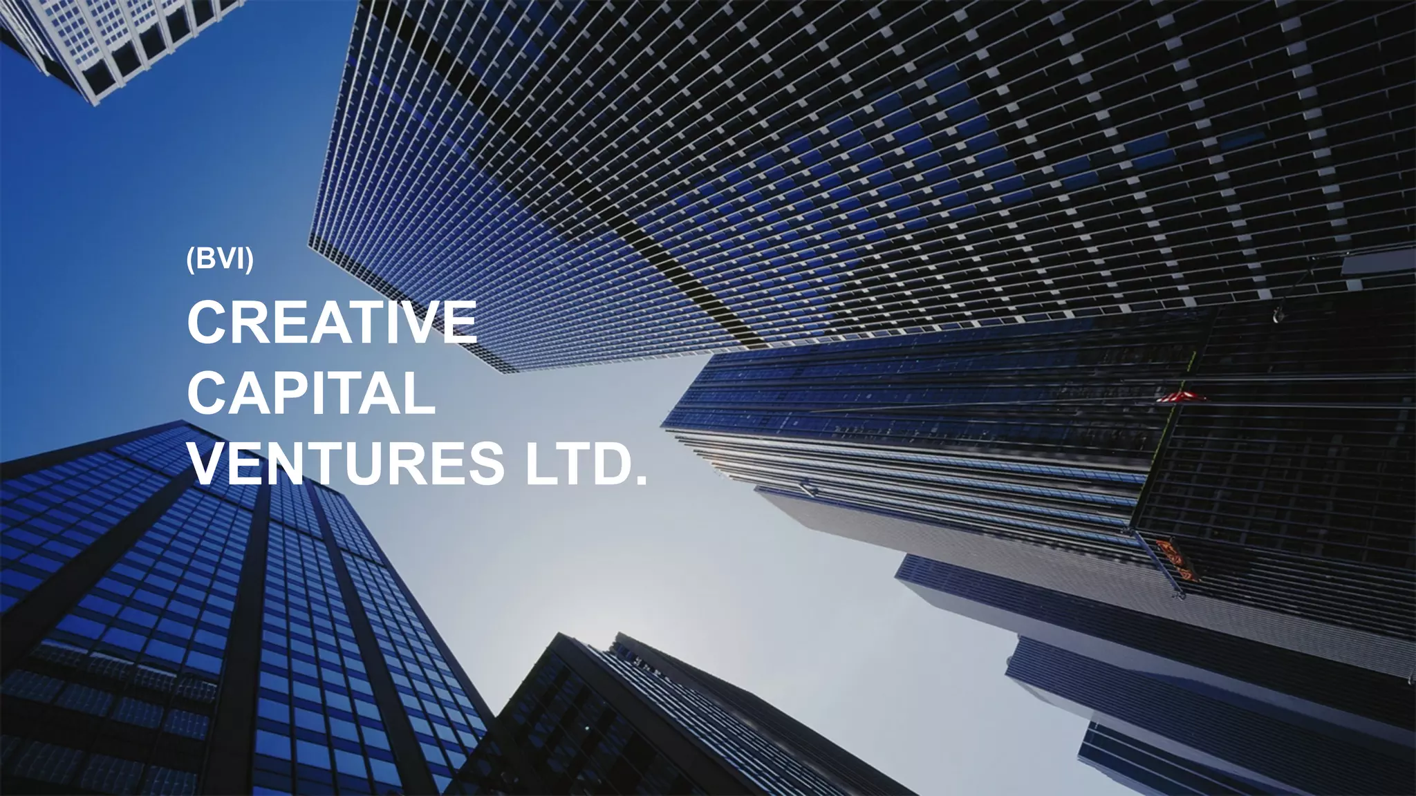 Julius Csurgo Creative Capital Ventures | PPT