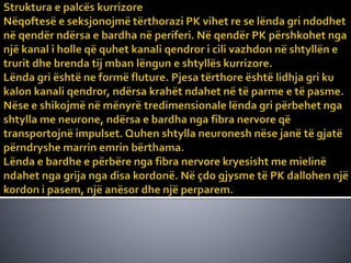 Sistemi Nervor | PPT