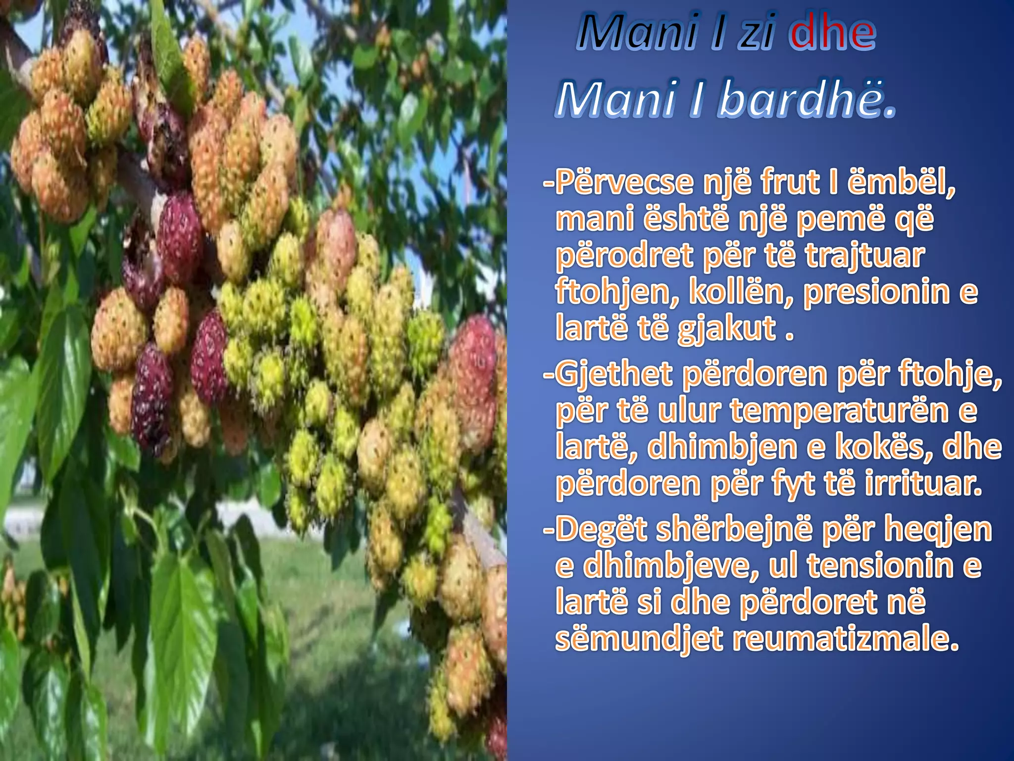 Sa te rendesishme jane bimet ne mjeksi dhe si ushqim | PPTX