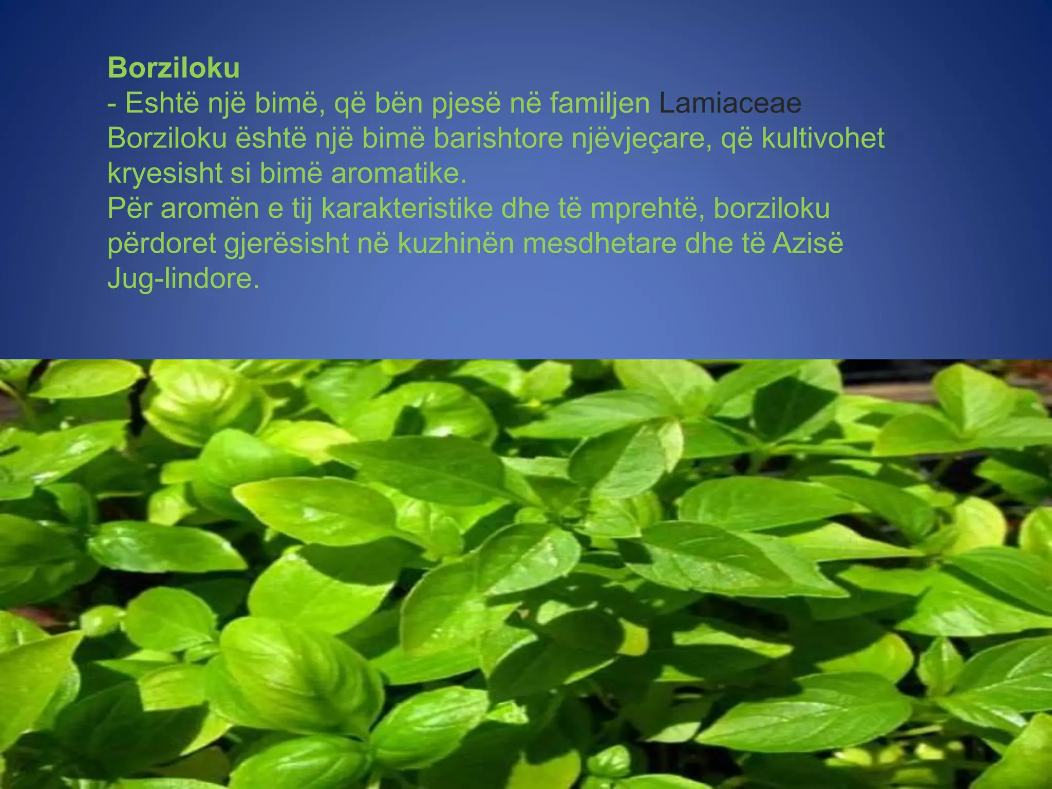 Sa te rendesishme jane bimet ne mjeksi dhe si ushqim | PPTX