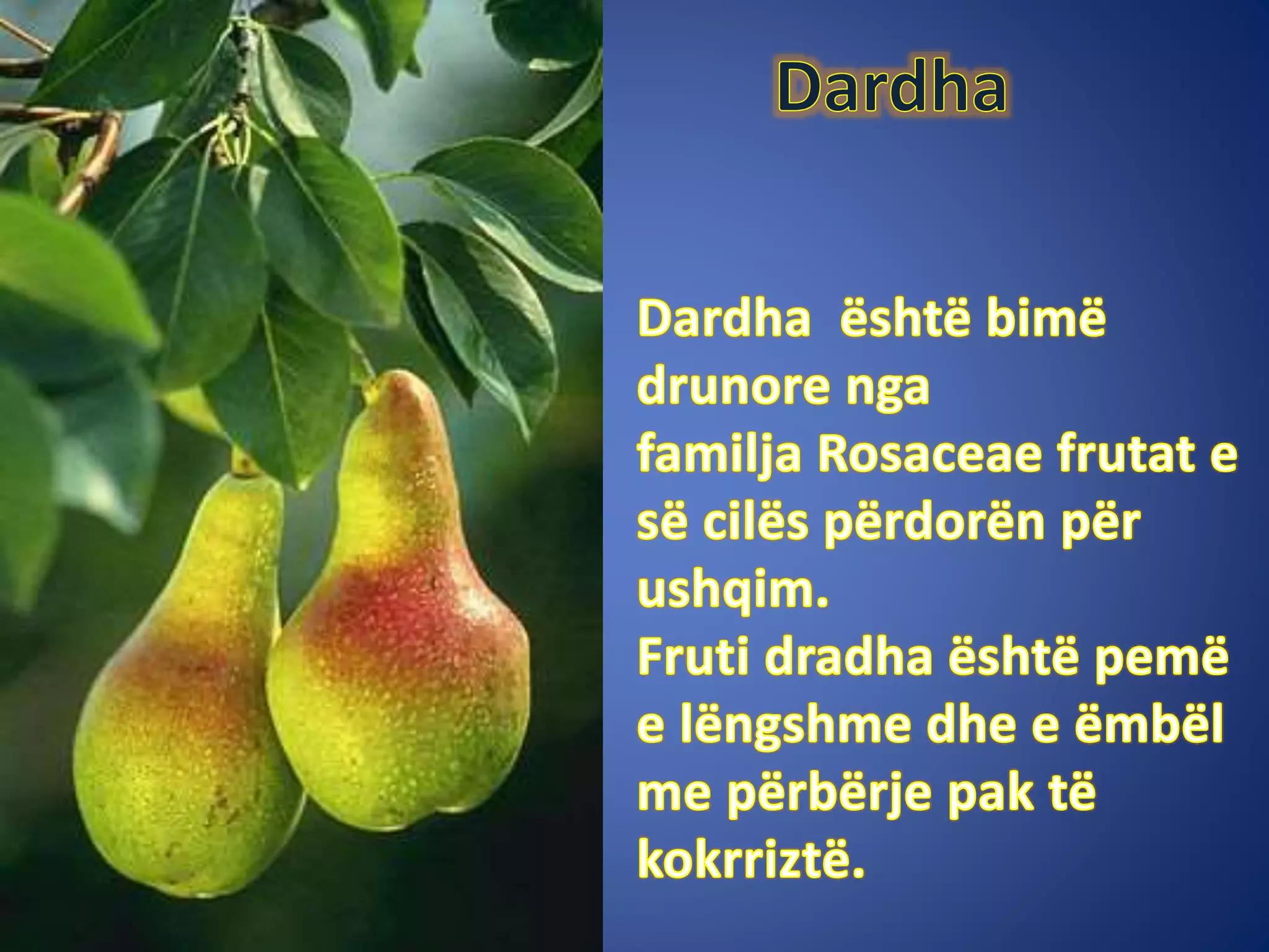 Sa te rendesishme jane bimet ne mjeksi dhe si ushqim | PPTX