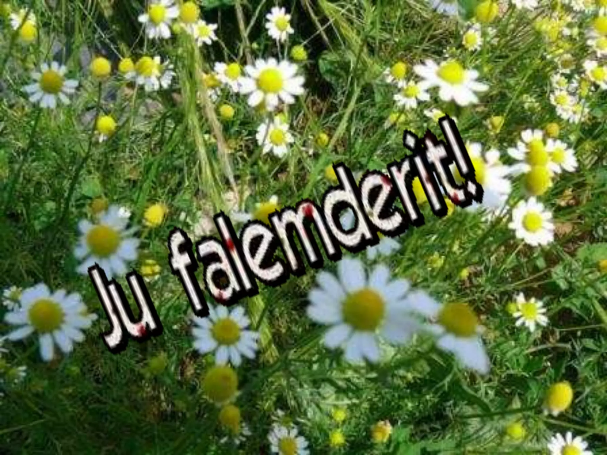 Sa te rendesishme jane bimet ne mjeksi dhe si ushqim | PPTX