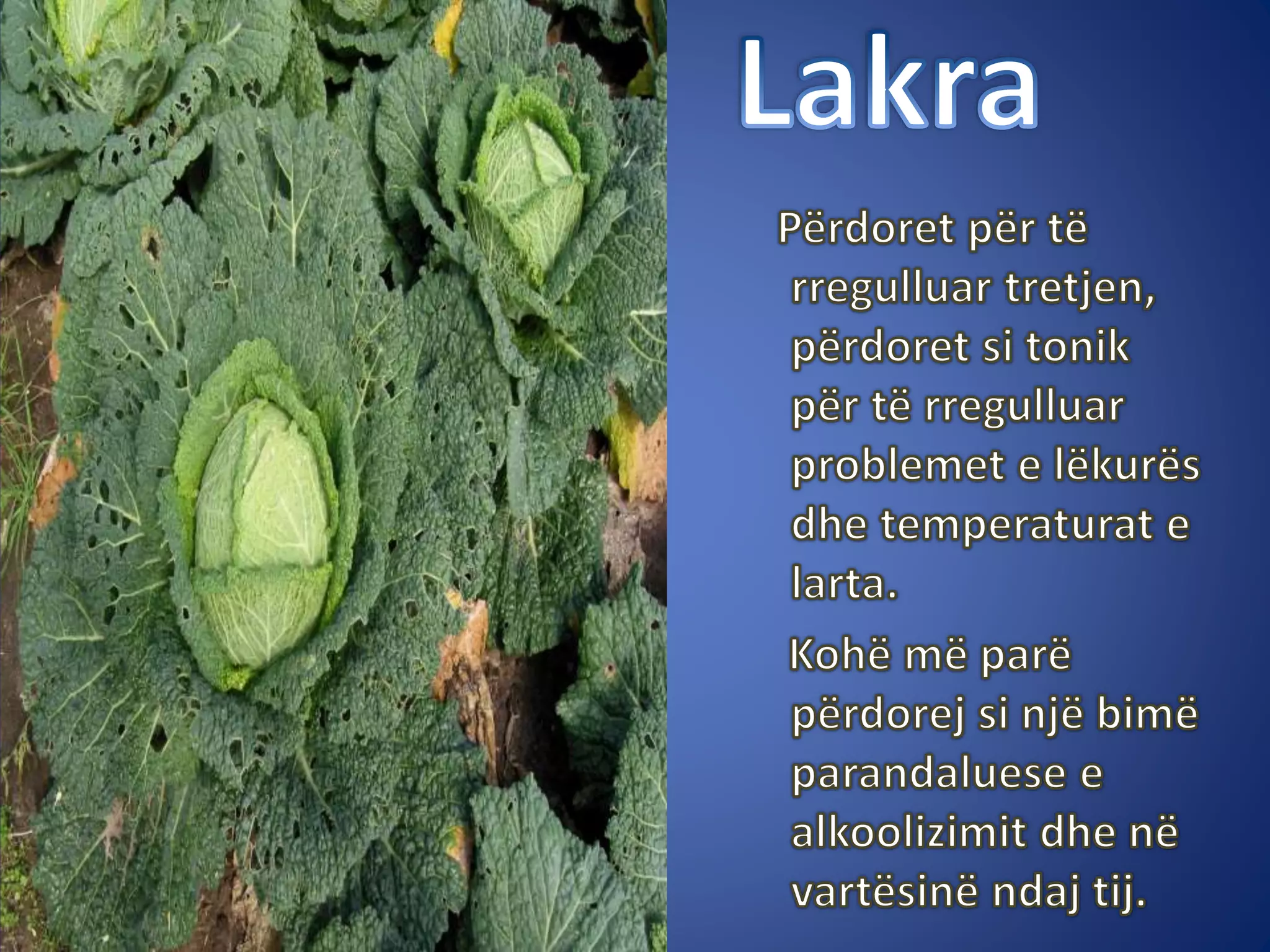 Sa te rendesishme jane bimet ne mjeksi dhe si ushqim | PPTX