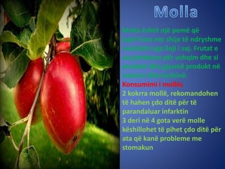 Sa te rendesishme jane bimet ne mjeksi dhe si ushqim | PPTX