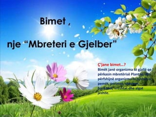 Sa te rendesishme jane bimet ne mjeksi dhe si ushqim | PPTX