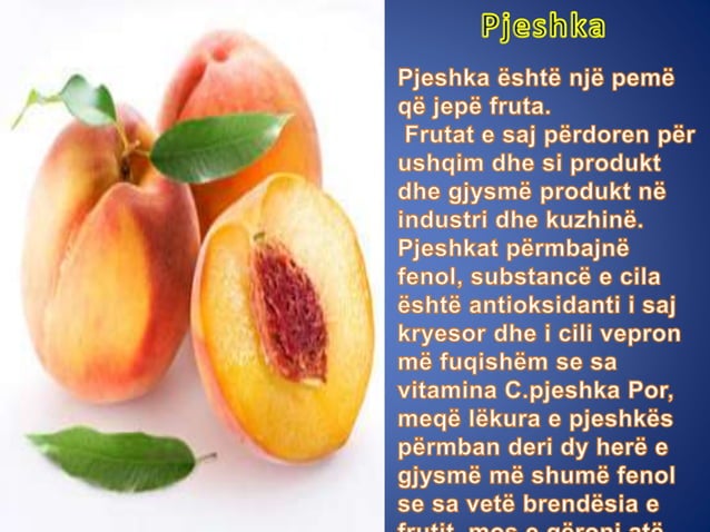 Sa te rendesishme jane bimet ne mjeksi dhe si ushqim | PPTX