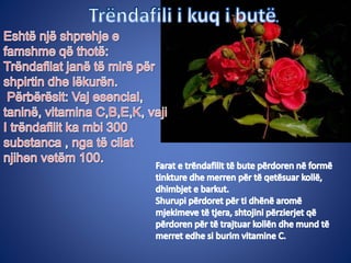 Sa te rendesishme jane bimet ne mjeksi dhe si ushqim | PPTX