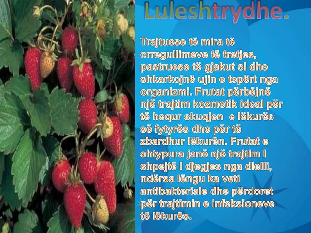 Sa te rendesishme jane bimet ne mjeksi dhe si ushqim | PPTX