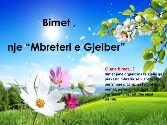 Sa te rendesishme jane bimet ne mjeksi dhe si ushqim