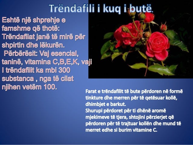 Sa te rendesishme jane bimet ne mjeksi dhe si ushqim