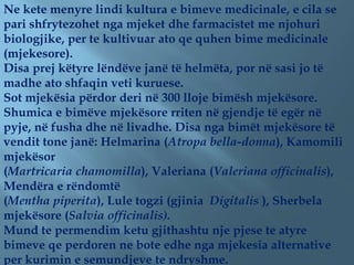 Ndikimi i bimeve ne jeten e njeriut | PPTX