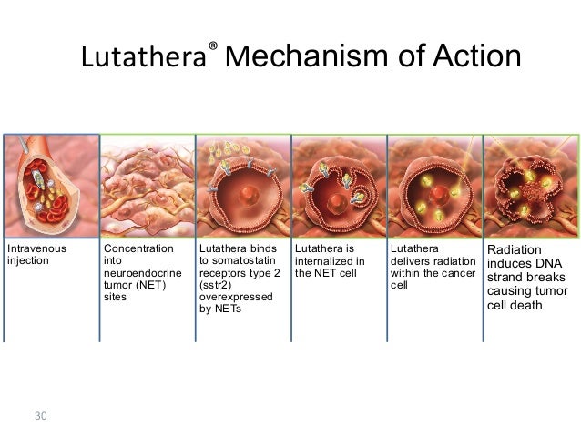 Dr Ed. Wolin July 16 2016 DC Neuroendocrine Tumor Support Group Pres…