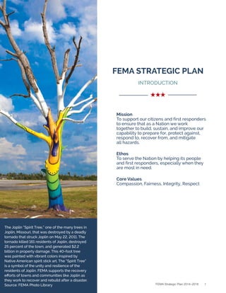 July 18 FEMA Strategic Plan | PDF