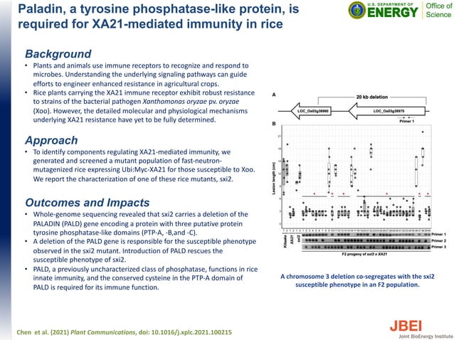 July 2021 - JBEI Research Highlights | PPT