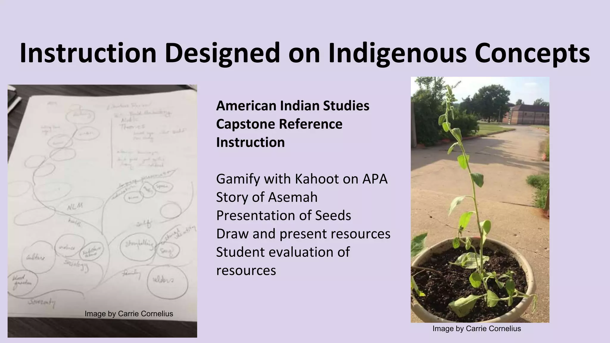 Indigenous library services | PPTX