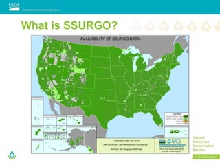 July 29-1050-Stephen Roecker | PPT