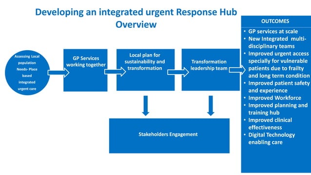 Urgent Response Hub Katayoon Bamdad | PPT