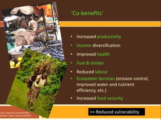 Climate Finance for Agriculture and Livelihoods | PPTX | Agriculture ...