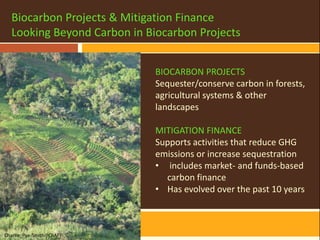 Climate Finance for Agriculture and Livelihoods | PPTX | Agriculture ...