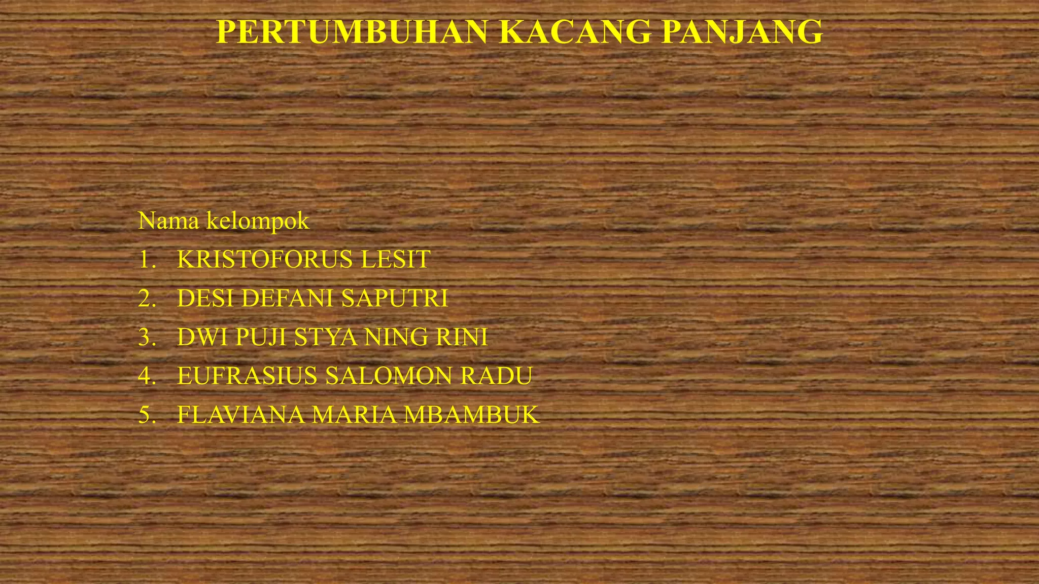 Jumlah akar kacang panjang dengan media tanam yang berbeda | PPT