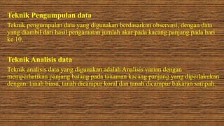 Jumlah akar kacang panjang dengan media tanam yang berbeda | PPTX