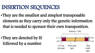 type of genes - jumping genes | PPTX