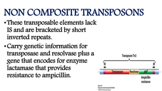 type of genes - jumping genes | PPTX