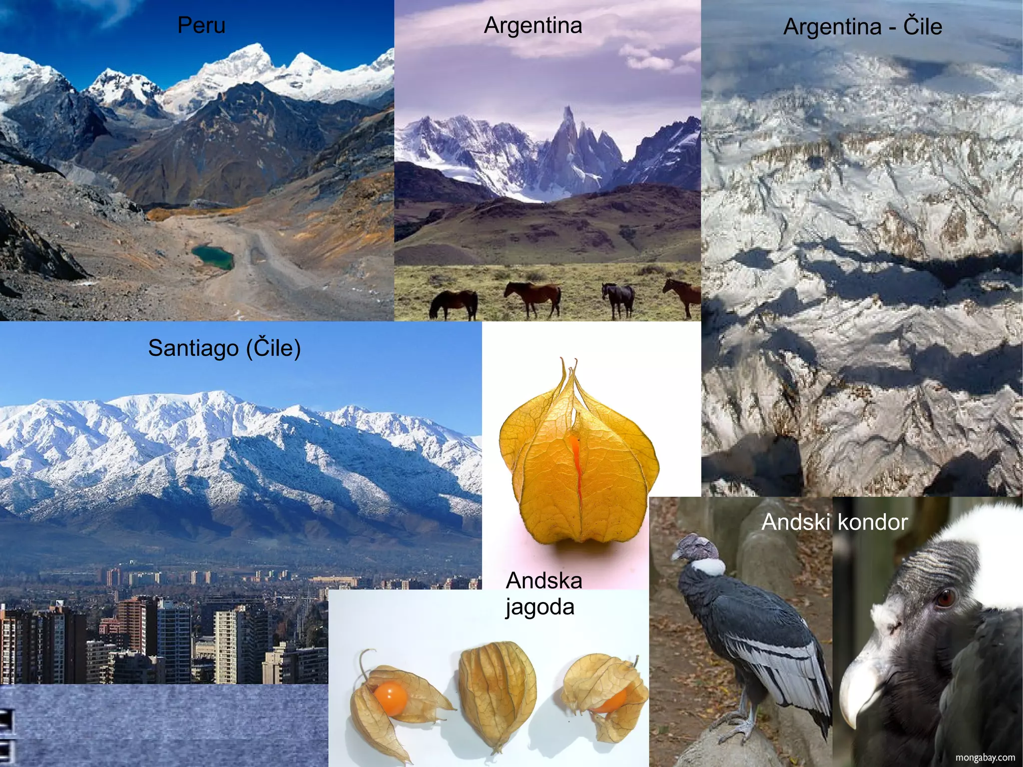 Naravne enote Južne Amerike | ODP